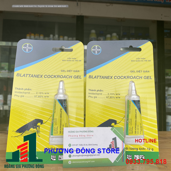 Top 6 thuốc diệt gián hiệu quả