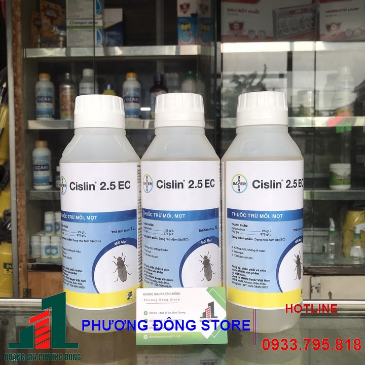 Top 8 loại thuốc diệt mối tận gốc hiệu quả tốt nhất