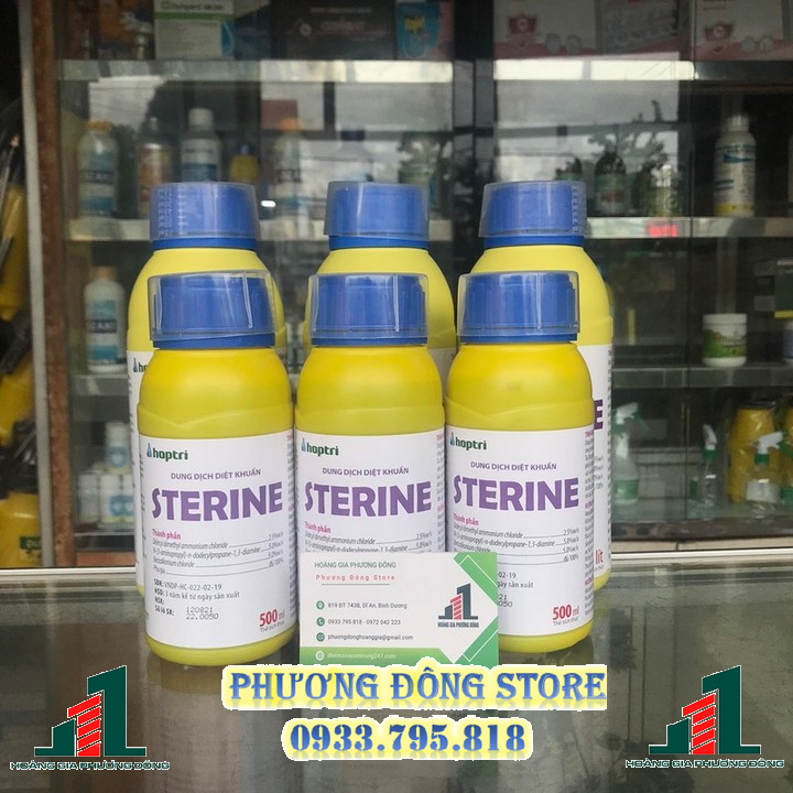 Dung dịch diệt khuẩn STERINE